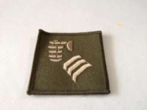 All TRF's Archives - Bovington PRI Shop